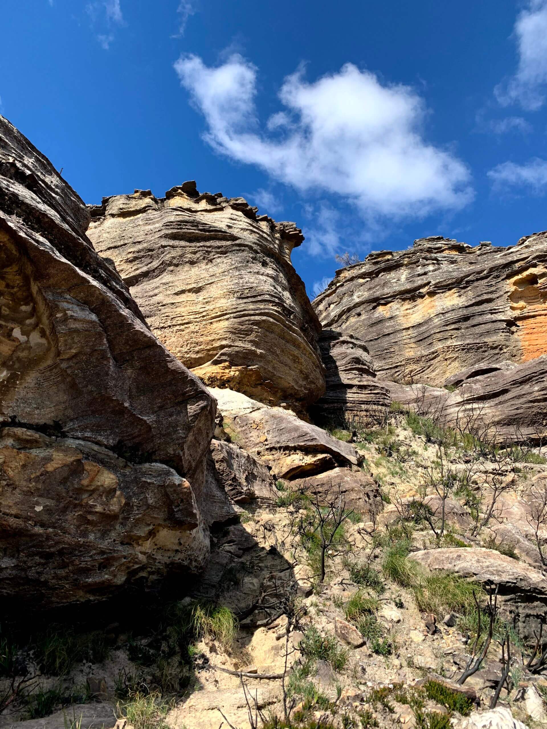 Butterbox Point - HikeHead